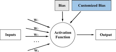 Proposed Neural Network With Multi Bias Download Scientific Diagram