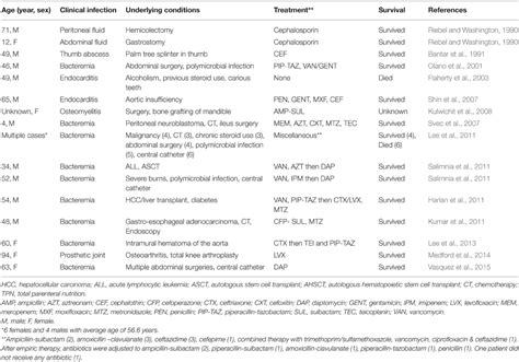Frontiers Identification And Significance Of Weissella Species Infections