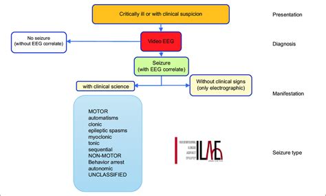 Diagram Of The Proposed Classification For Seizures In The Newborn