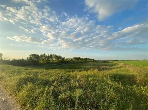 ขายที่ดินบางน้ำเปรี้ยว 4 ไร่ คลอง 20 ใกล้ถนนเส้น 3001 เพียง 1 4 กม จ ฉะเชิงเทรา ที่ดินร้อยแปด คอม