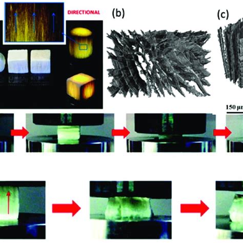 A Freeze Cast Silicacht Hybrid Scaffolds B X Ray Micro Computed Download Scientific