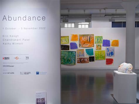 Abundance Project Ability