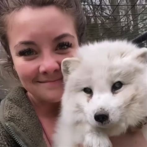 Woman Sees Elderly And Blind Arctic Fox Dumped In Dog Shelter And Jumps