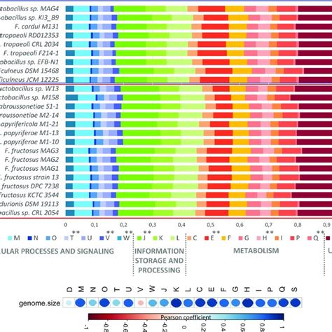 Functional Annotation Of Genes In Cog Categories A Comparative