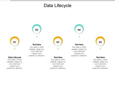 Data Lifecycle Ppt PowerPoint Presentation Icon Example Topics Cpb Pdf