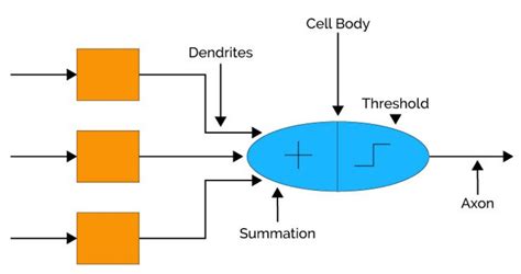 From Perceptron To Deep Neural Nets By Adi Chris Becoming Human
