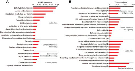 Kegg Pathway Analysis And Cog Analysis Eggnog Mapper Analysis Of 2882 Download Scientific