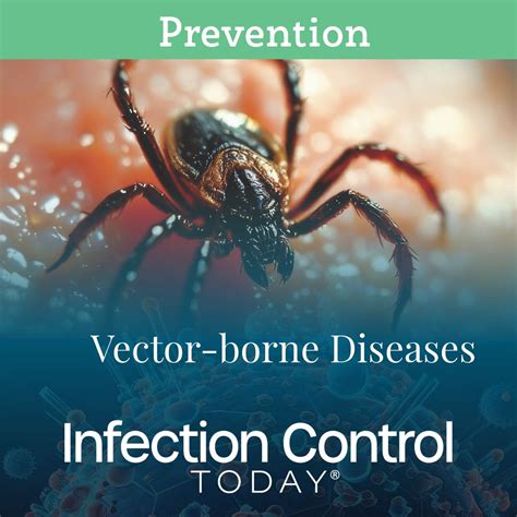 Vector Borne Diseases Understanding Their Transmission And Prevention