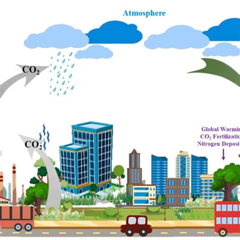 Simulation Diagram Of Carbon Process In Urban Ecosystem Download Scientific Diagram