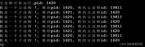 Linux系统 —— 进程系列 进程的概念，pcb与pid和forkpid Pcb Csdn博客