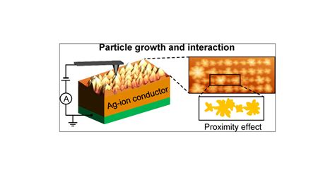 Nanoparticle Shape Evolution And Proximity Effects During Tip Induced Electrochemical Processes