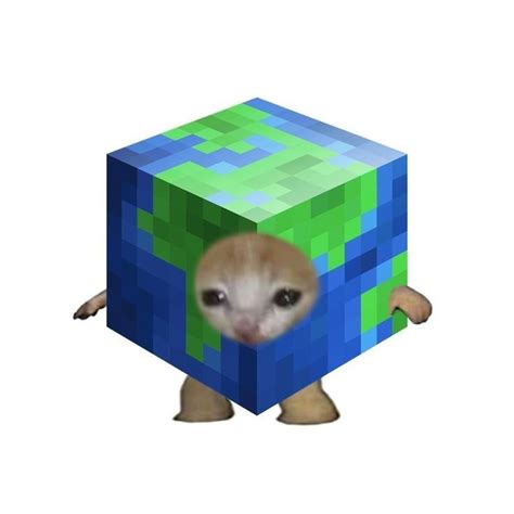 Silly Cat In A Cube