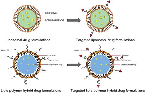 Targeted Drug Delivery Download Scientific Diagram