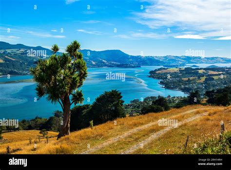 Otago Harbour And Otago Peninsula Coastal Landscape Dunedin South