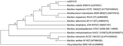 Bacillus Subtilis Se201412 And Organic Selenium Rich Bactericide