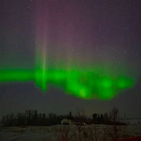 Saskatoon Rushil Dodiya