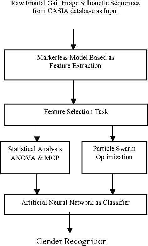 Figure 1 From Frontal View Gait Analysis Of Gender Semantic Scholar