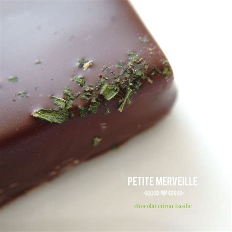 Découvrez Les Délicieuses Créations De Patrick Roger