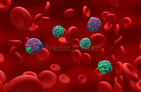 Low Density Lipoprotein Ldl And High Density Lipoprotein Hdl