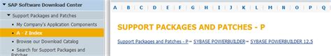 Powerbuilder 1252 Ebf Sap Community