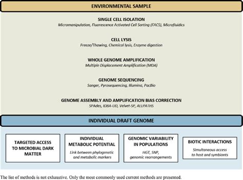 Single Cell Genomics Workflow Applied To The Study Of Metagenomic Download Scientific Diagram