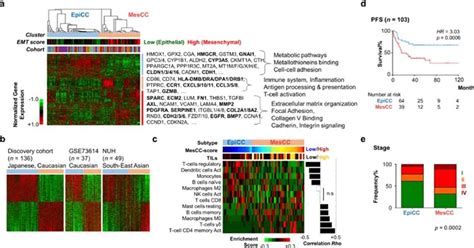 MRNA Sequencing AGTC Genomics