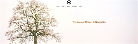 Transparent Header And Navigation Documentation