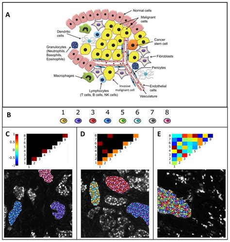 Canonical Pointwise Mutual Information Pmi Maps Depicting Various