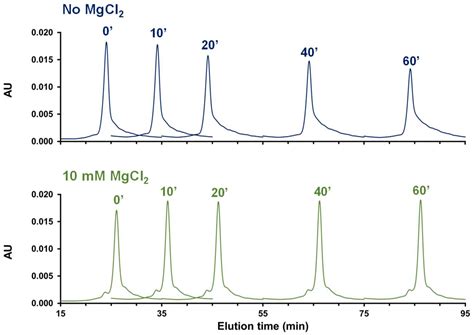 Optimizing Messenger Rna Analysis Using Ultra Wide Pore Size Exclusion