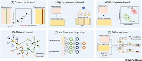 alternative methods of transcriptomic and metabolomic data integration