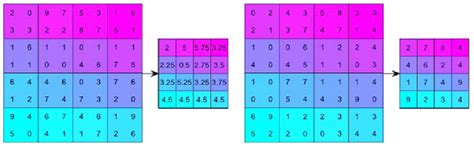 Max Pooling And Average Pooling Li Et Al 2019 Download Scientific Diagram