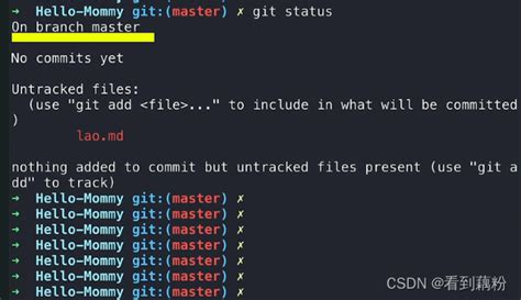 Git使用笔记 Csdn博客