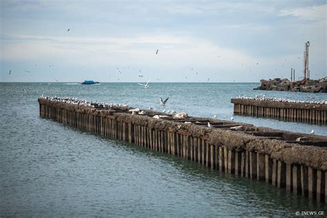 სამწუხარო შემთხვევა ფოთში ზღვაში მამაკაცი დაიხრჩო Inews