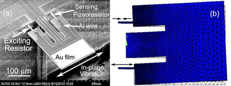 A Sem Image Of The Proposed And Fabricated Resonant Micro Cantilever Download Scientific