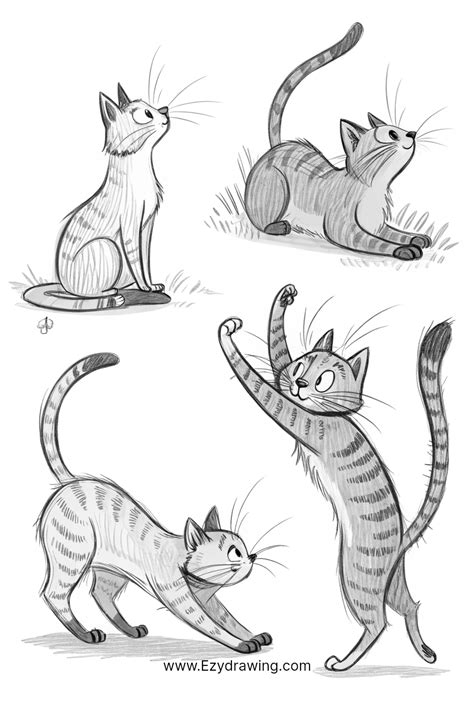 21 Unseen Cat Drawing Ideas Youll Love To Try Today