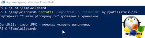 Экспорт и импорт сертификата Windows Настройка серверов Windows и Linux
