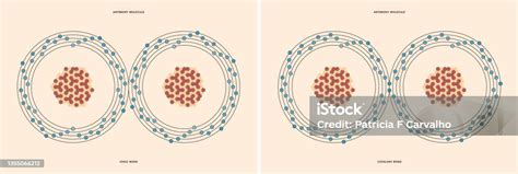 Antimony Molecule Stock Illustration Download Image Now Atom