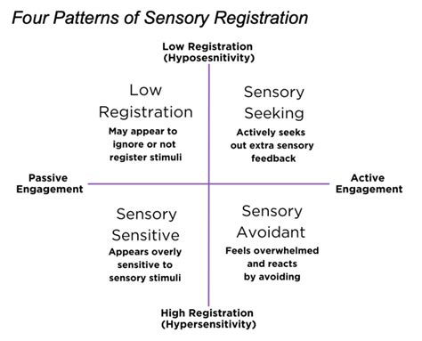 Understanding Sensory Registration And Sensory Regulation An Ot