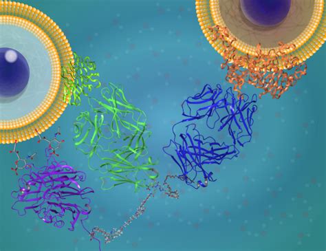 Behind The Paper Chemical Generation Of Checkpoint Inhibitory T Cell