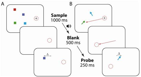Dynamic Shifts Of Limited Working Memory Resources In Human Vision Pmc