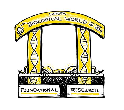 Foundational Research The Key To Discovery And Innovation