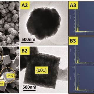 XRD Patterns Of The Resultant TiO2 Crystal Samples Download Scientific Diagram