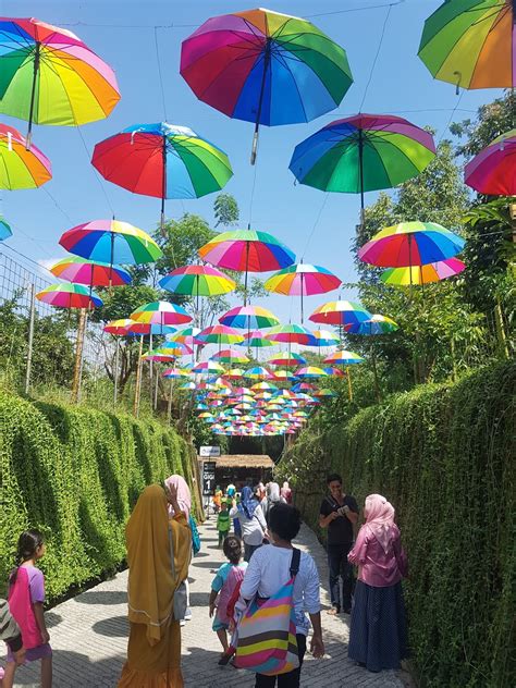 Wisata Taman Botani Jember Tempat Wisata Indonesia