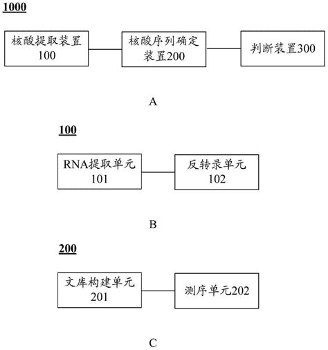 Stub1 Gene Mutant And Application Thereof Eureka Patsnap