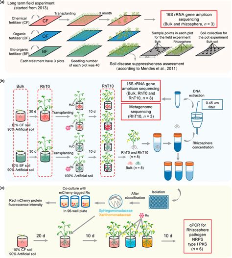 Functional Response Of Rhizosphere Bacterial Communities After 10 D Of Download Scientific
