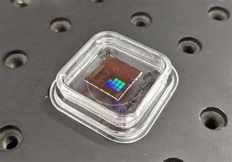 The Breakthrough Sensors Designed To Improve Crop Health Monitoring