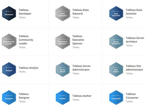 Tableau Certifiablytableau Tableaudesigner Tableauanalyst… Amulya