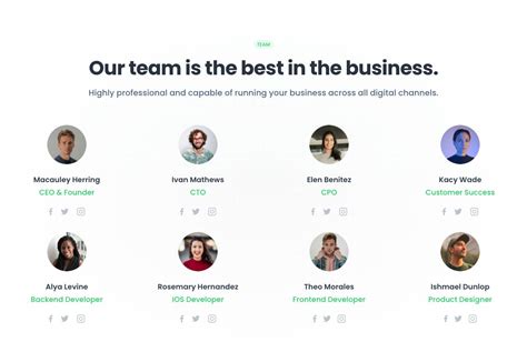Tailwind Team Components In Flex Library