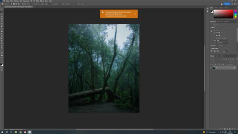 Solved Photoshop Generative Fill Adobe Community 13821584