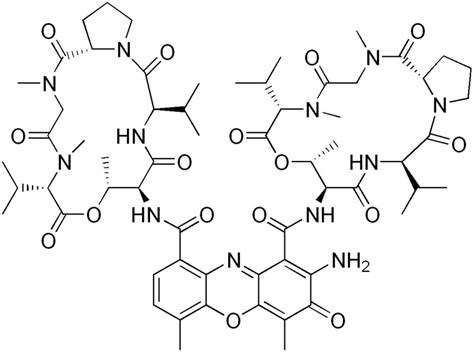 Bacteriocin Definition Classification Structure Production And Uses